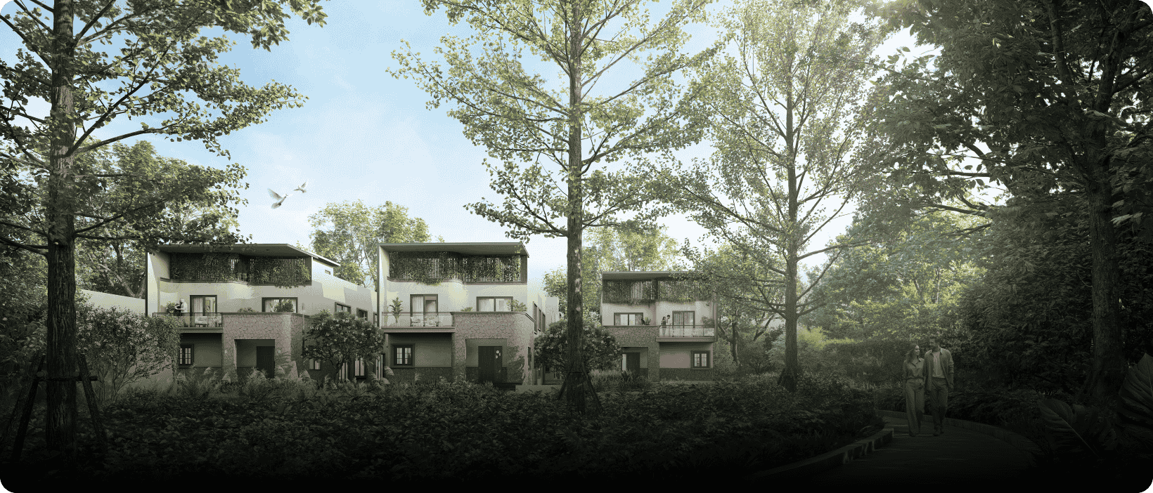 Lansum Evana Chevella LP